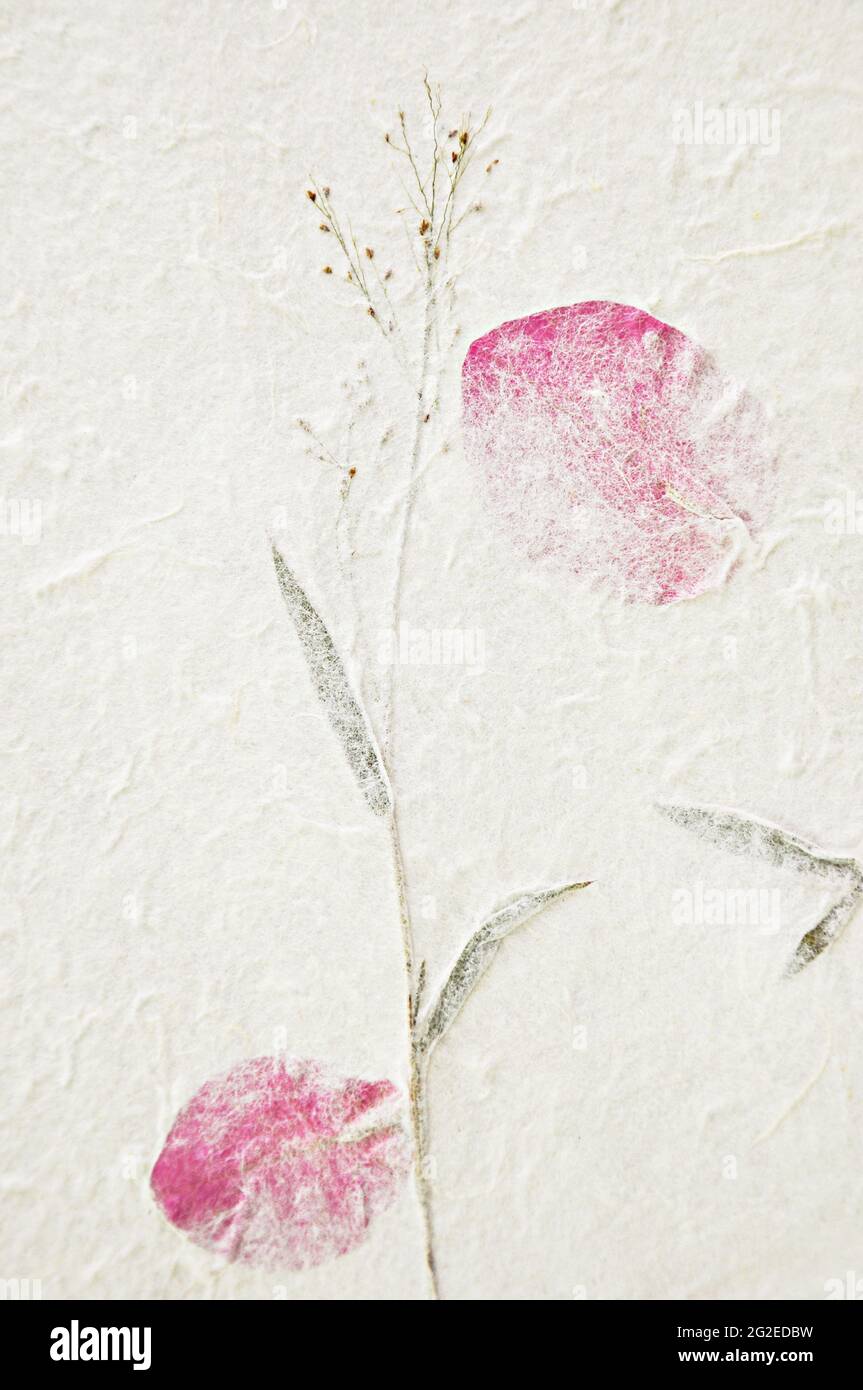 Mulberry paper texture background Stock Photo - Alamy