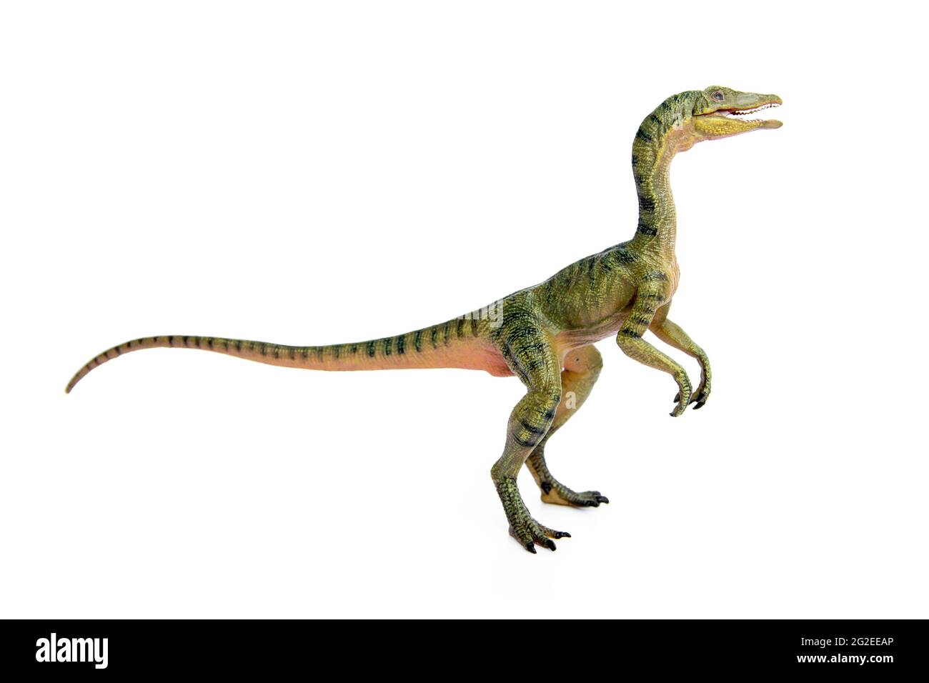 Compsognathus Minecraft Full Size