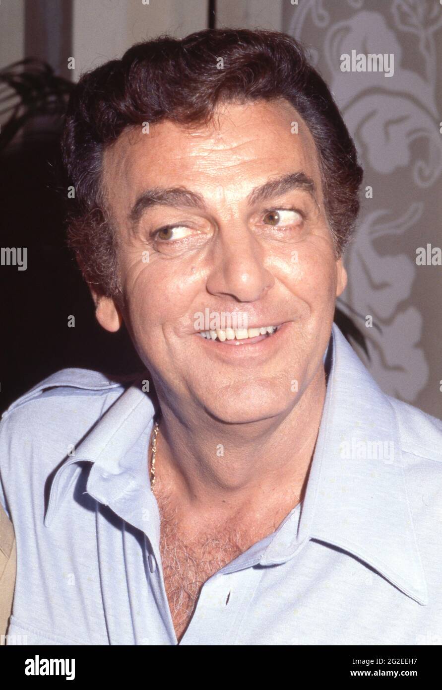 Mike Connors Circa 1980's Credit: Ralph Dominguez/MediaPunch Stock ...