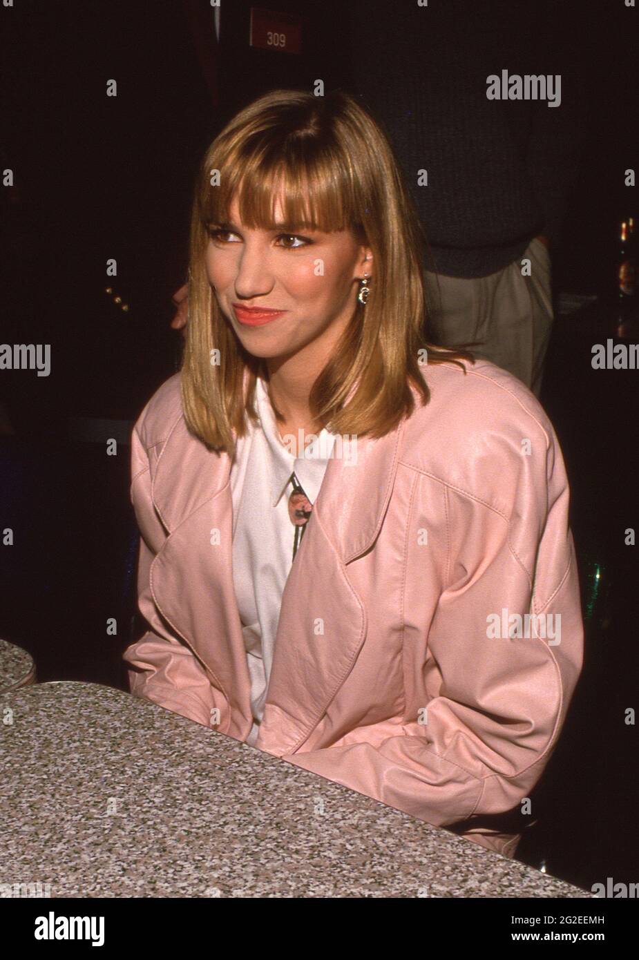 Debbie Gibson at the 'Party Celebrating Deborah Gibson's New Album ...