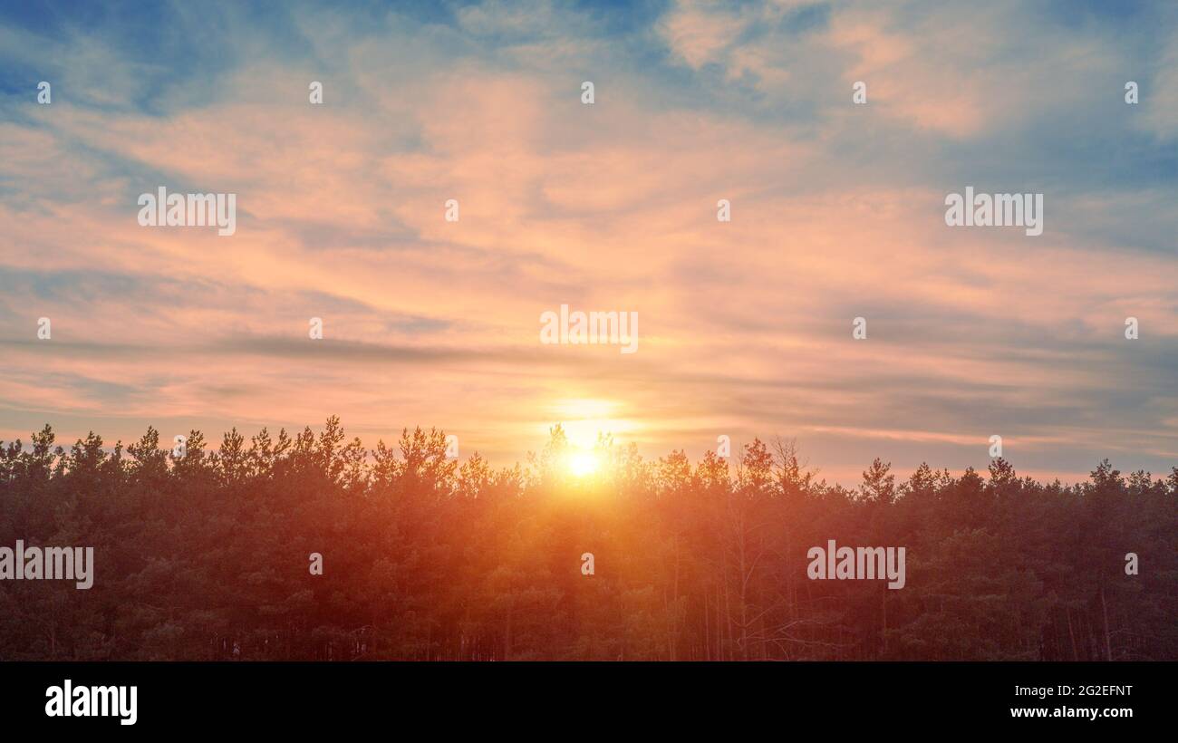 Bright sunlight rises over forest hi-res stock photography and images ...