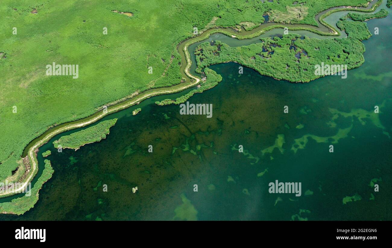 Bayingolin, China. 10th June, 2021. The beauty of Bosten lake's reed ...