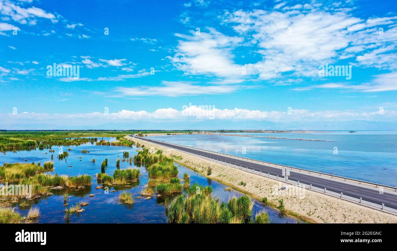 Bayingolin, China. 10th June, 2021. The beauty of Bosten lake's reed ...
