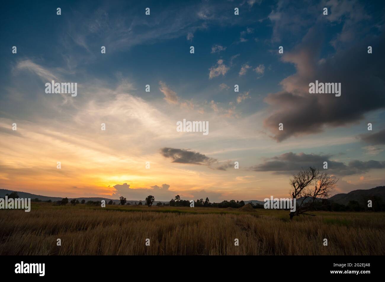 Beautiful twilight sky with cloud before sunset morning background ...