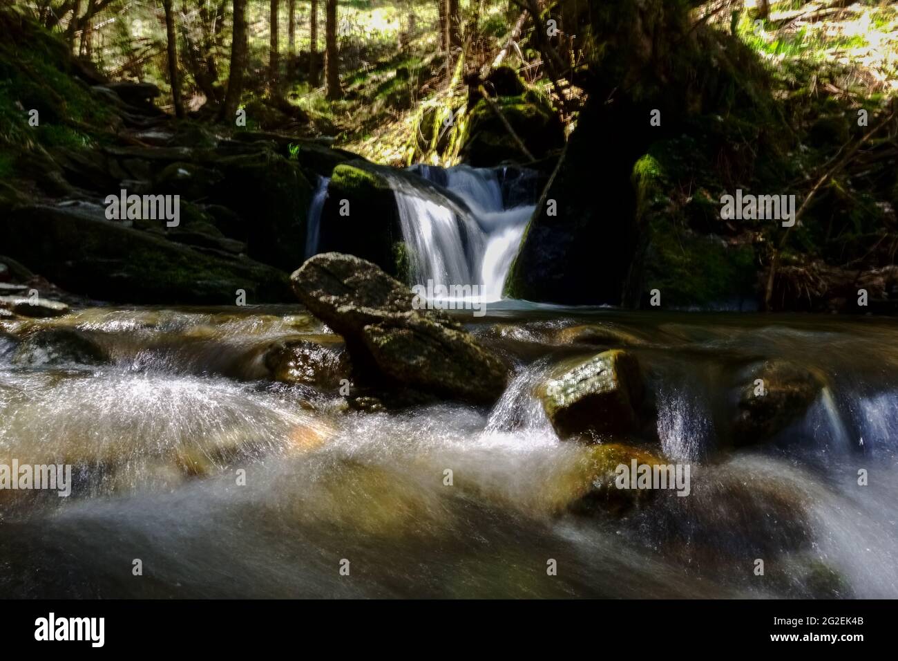 splashing water with a little waterfall in the shady forest while ...