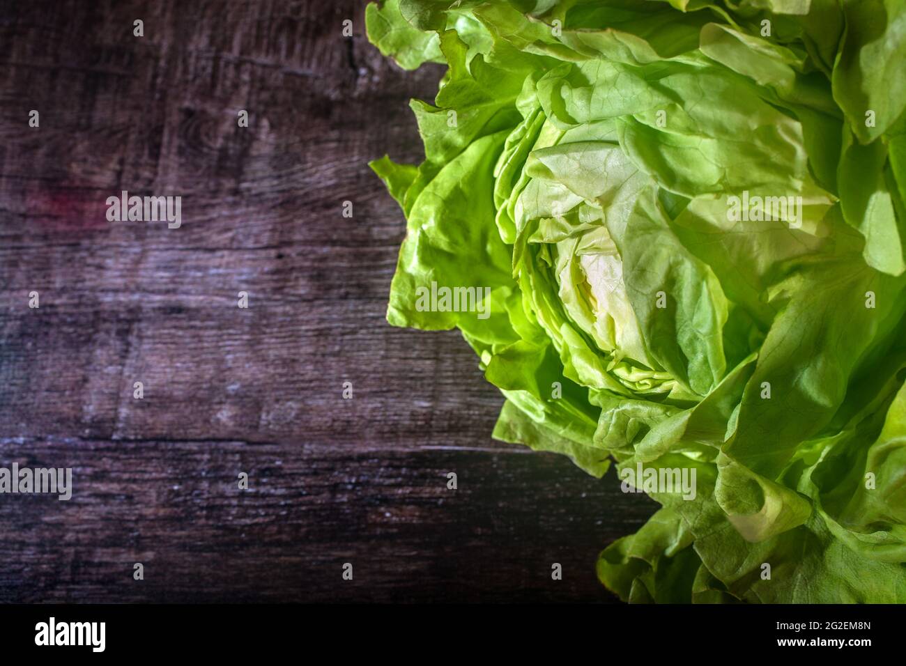 Fresh organic lettuce hi-res stock photography and images - Alamy