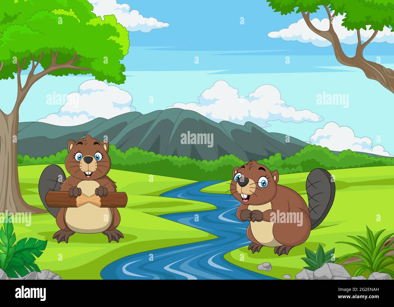 Two cute cartoon beavers in the jungle Stock Vector Image & Art - Alamy