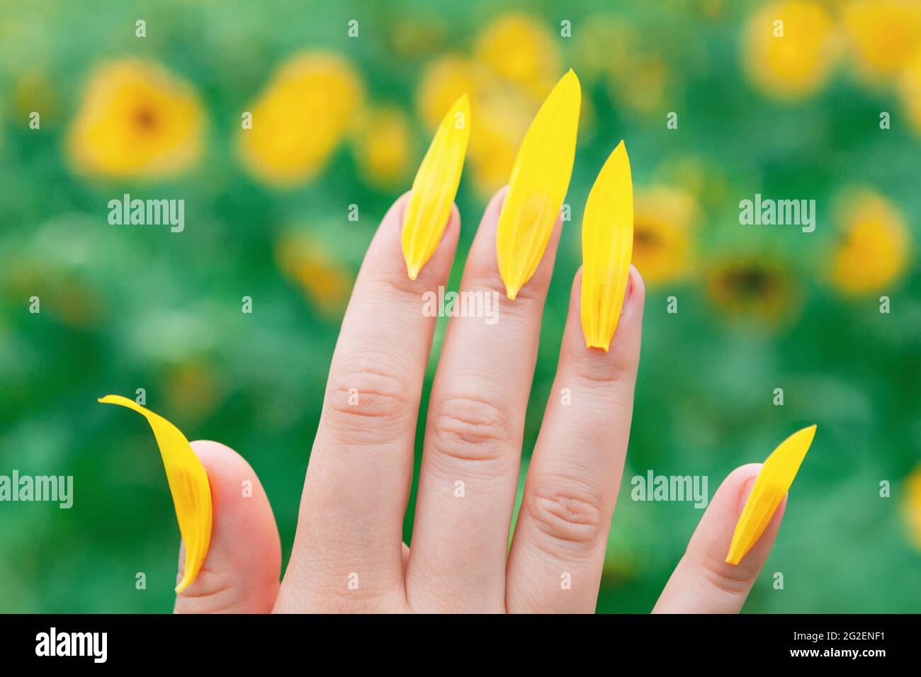 Fake nails hi-res stock photography and images - Alamy