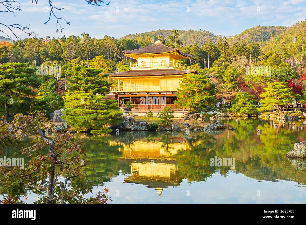 Beautiful of Kinkakuji temple or the golden Pavilion in Autumn foliage ...