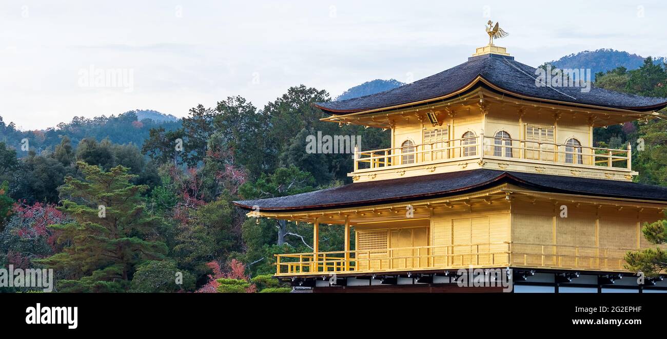 Beautiful of Kinkakuji temple or the golden Pavilion in Autumn foliage ...