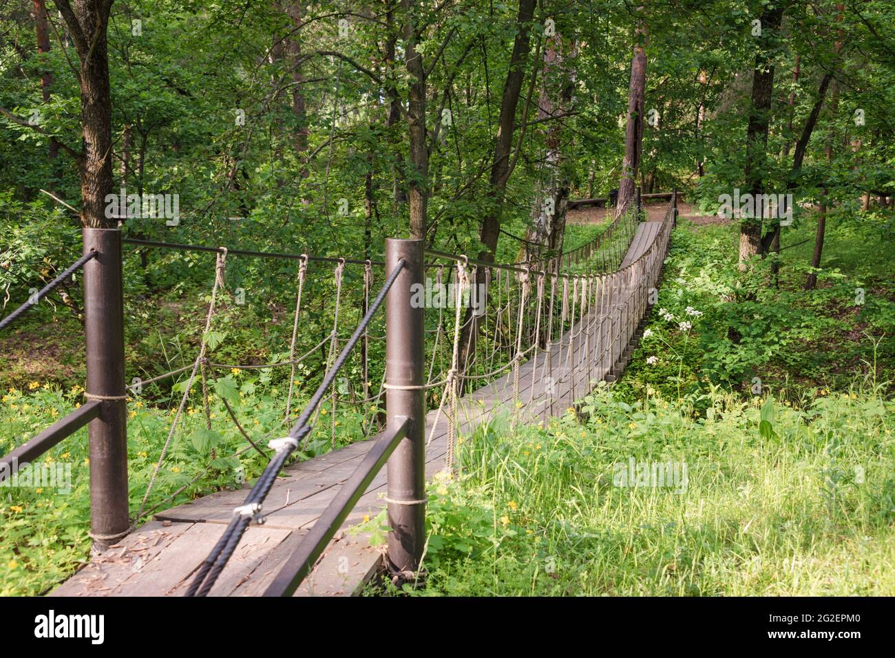 Forest rope bridge hike hi-res stock photography and images - Alamy