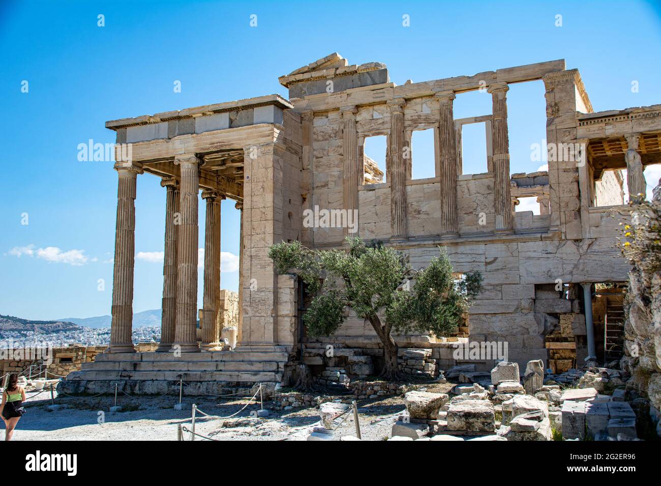Erechtheion Temple with an olive tree in front of the ancient temple ...