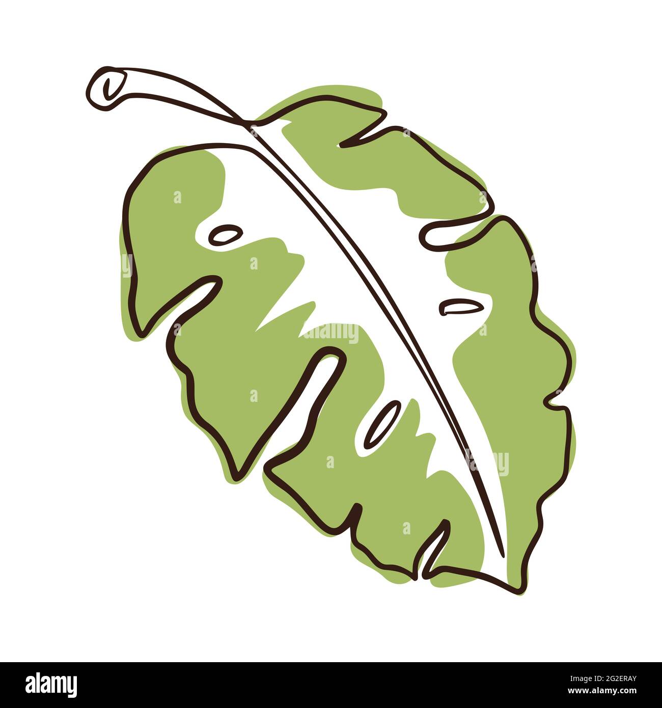 Philodendron tropical leaf line Stock Vector Images - Alamy