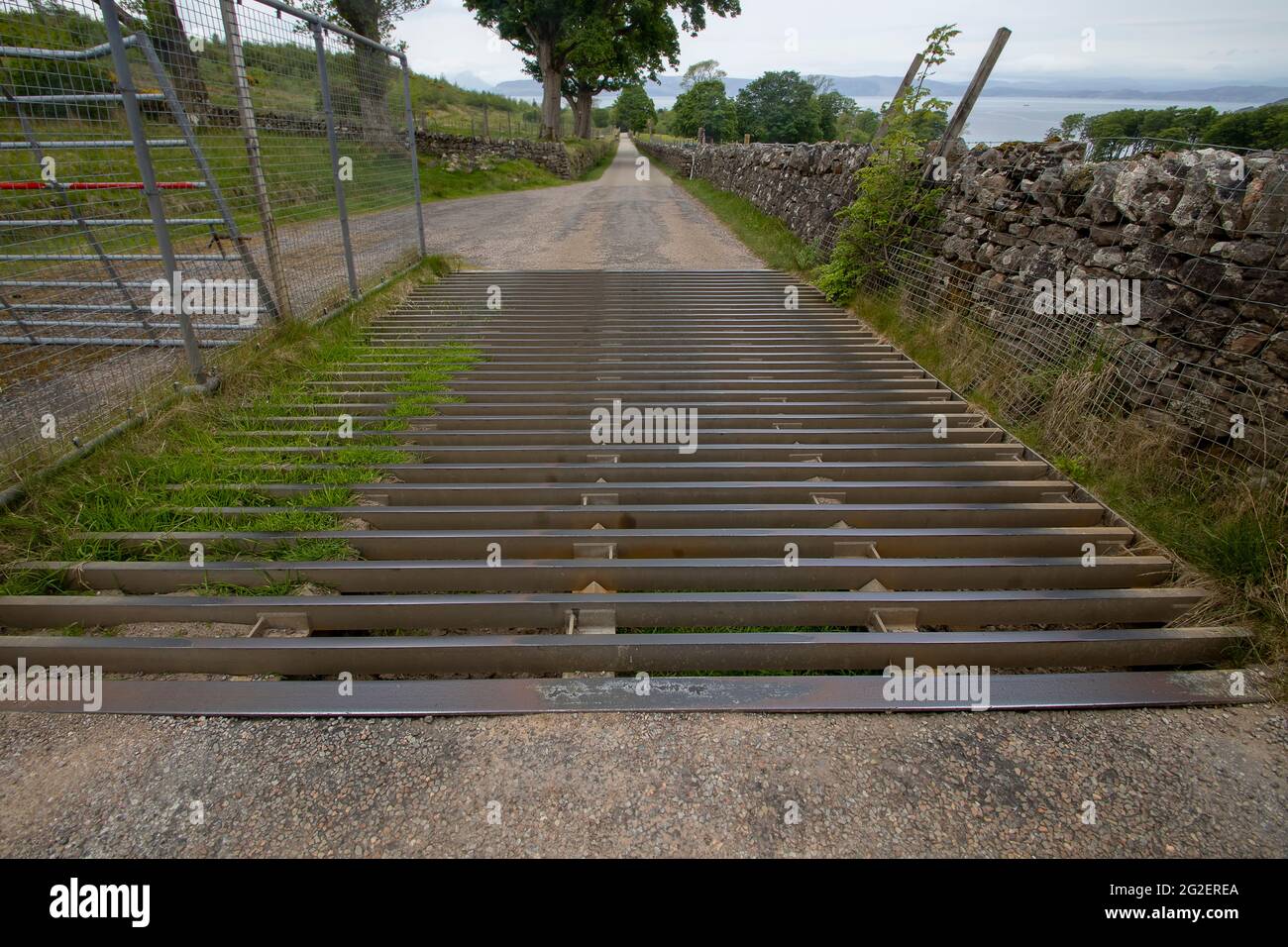 A cattle grid on a narrow road in the Scottish Highlands, UK Stock ...