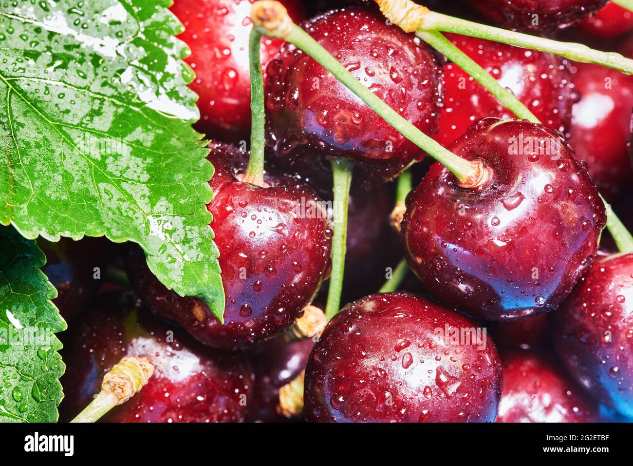 Ripe cherries tasty fruit hi-res stock photography and images - Alamy