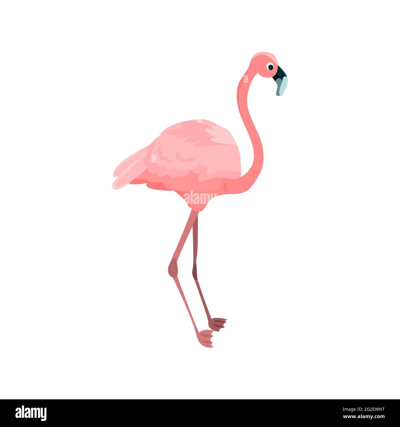 Flamingo flat icon. Colored vector element from birds collection ...