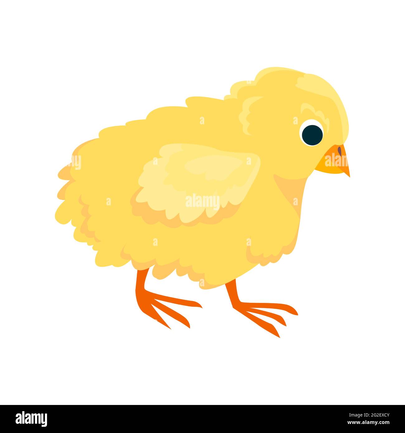 Chicken flat icon. Colored vector element from birds collection ...