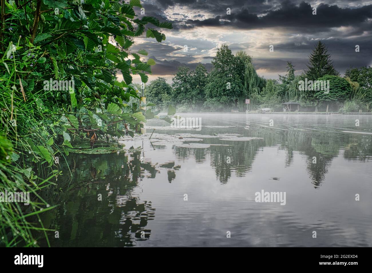 dramatic shot with fog from the Dahme, a river near Berlin in ...