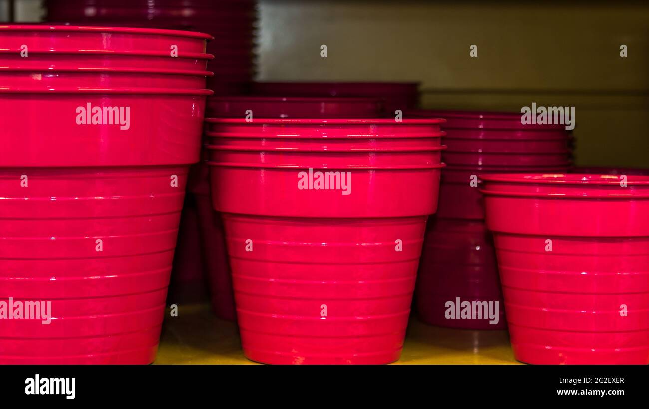 Pink plant decor hi-res stock photography and images - Alamy