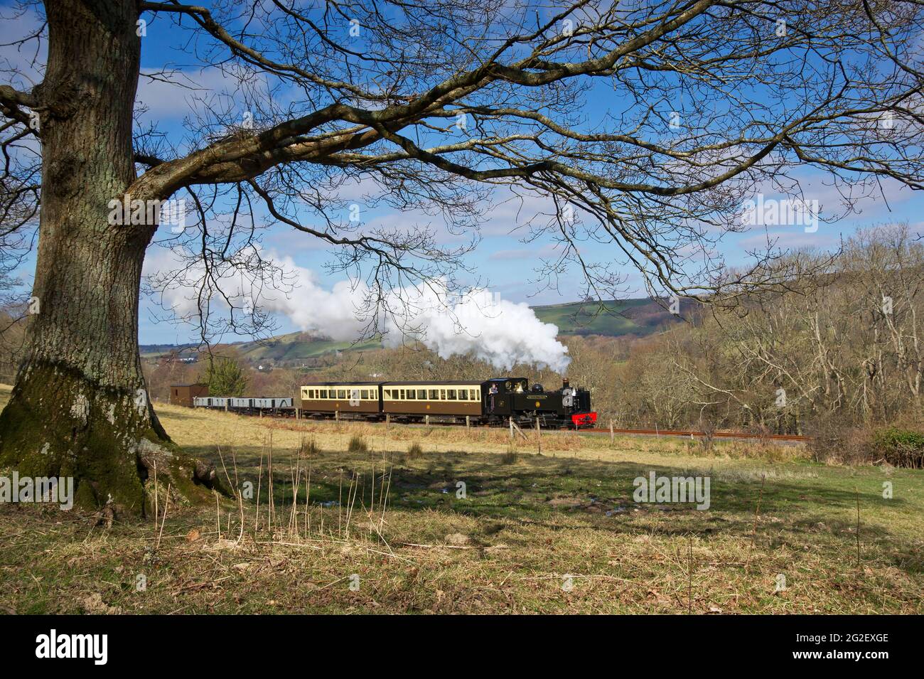 Vale of rheidol narrow gauge railway at devils bridge hi-res stock ...