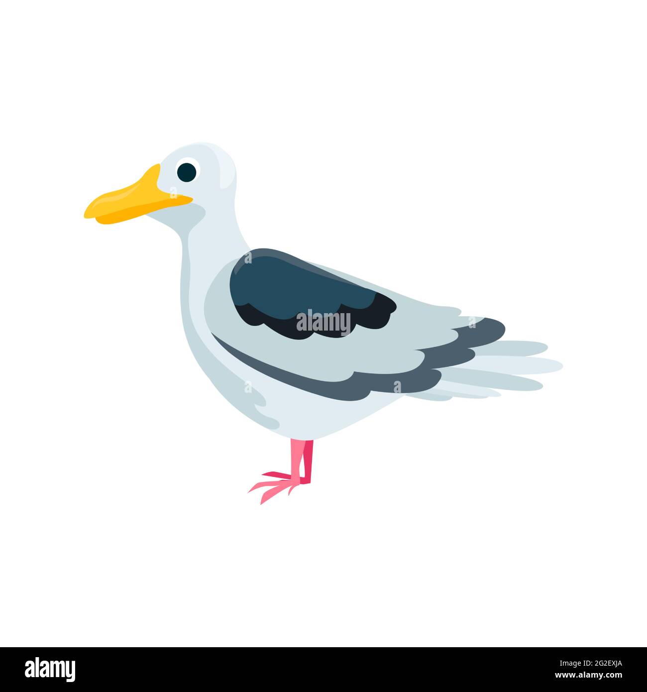 Most common gull Stock Vector Images - Alamy