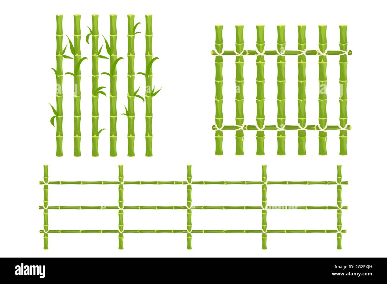 Set green bamboo fence with rope, picket from sticks, nature wall in ...