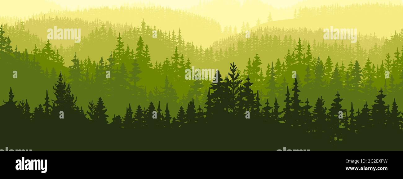 Horizontal banner of forest background, silhouettes of trees. Magical ...