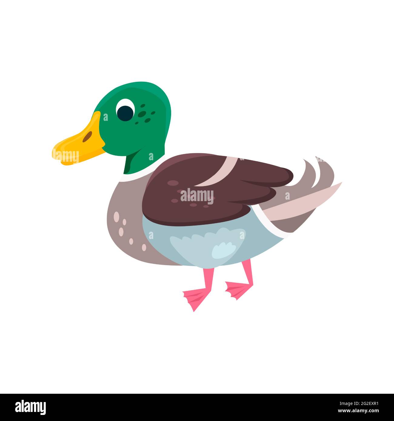 Duck flat icon. Colored vector element from birds collection. Creative ...