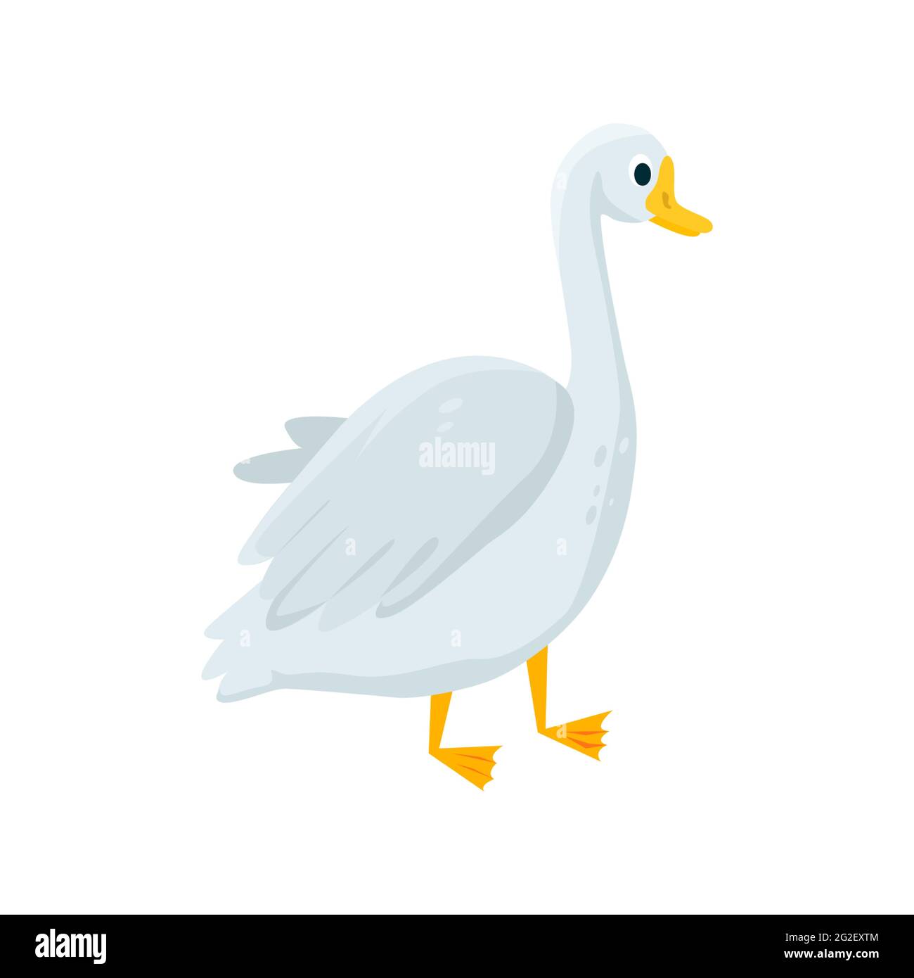 Wild birds pictogram Stock Vector Images - Alamy