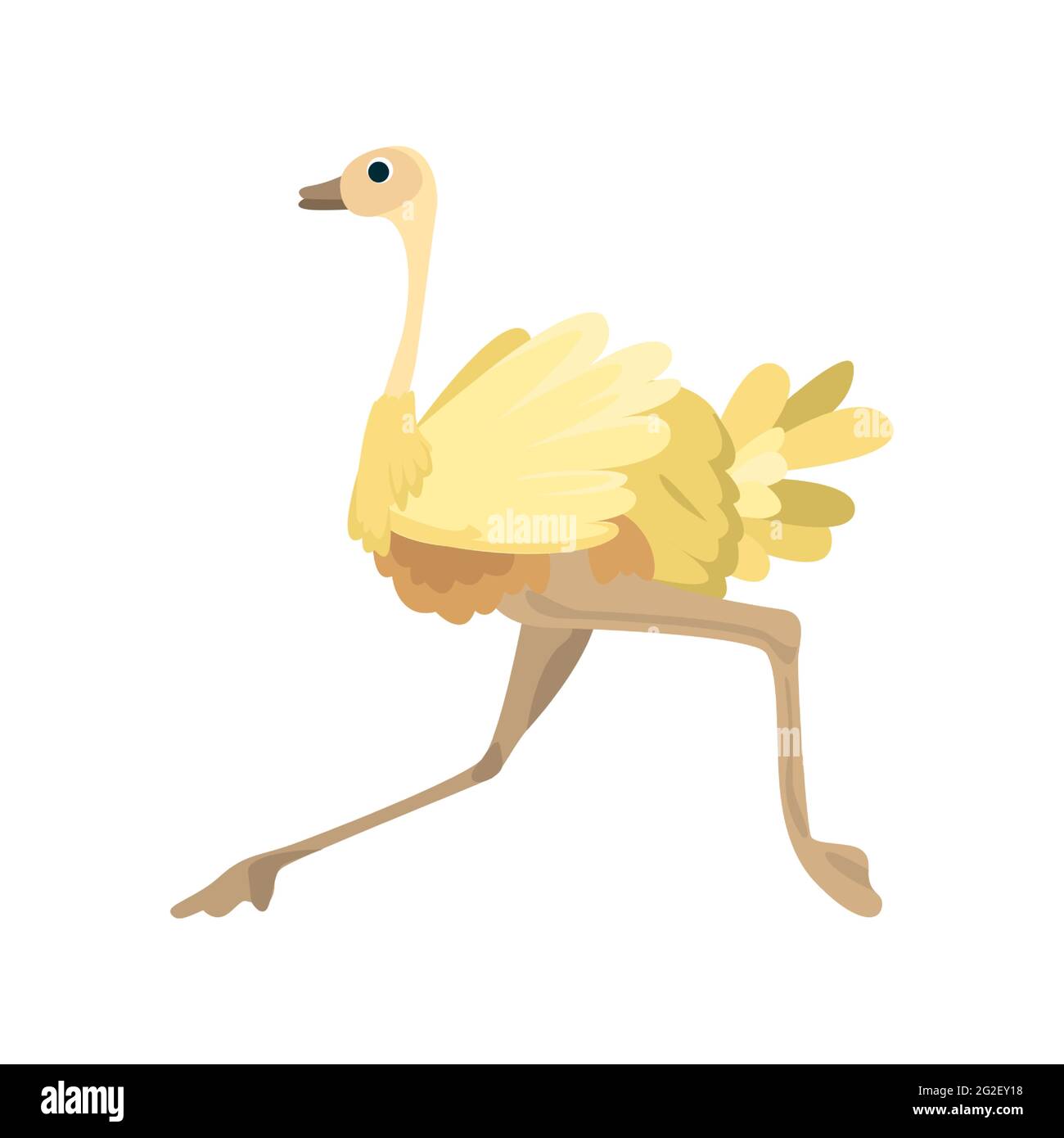 Ostrich flat icon. Colored vector element from birds collection ...