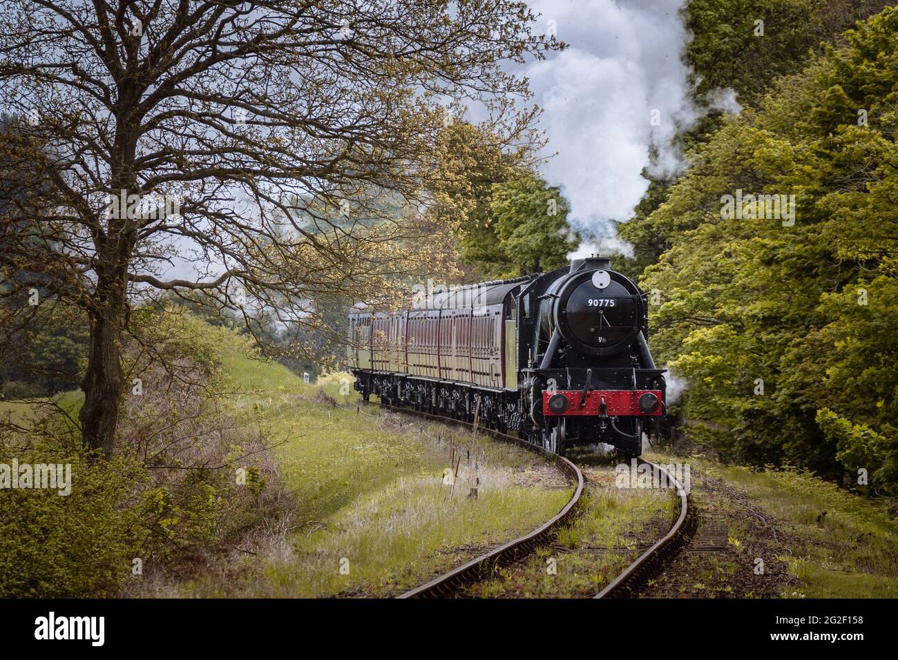 The poppy line classic steam train passing through forest trees Stock ...