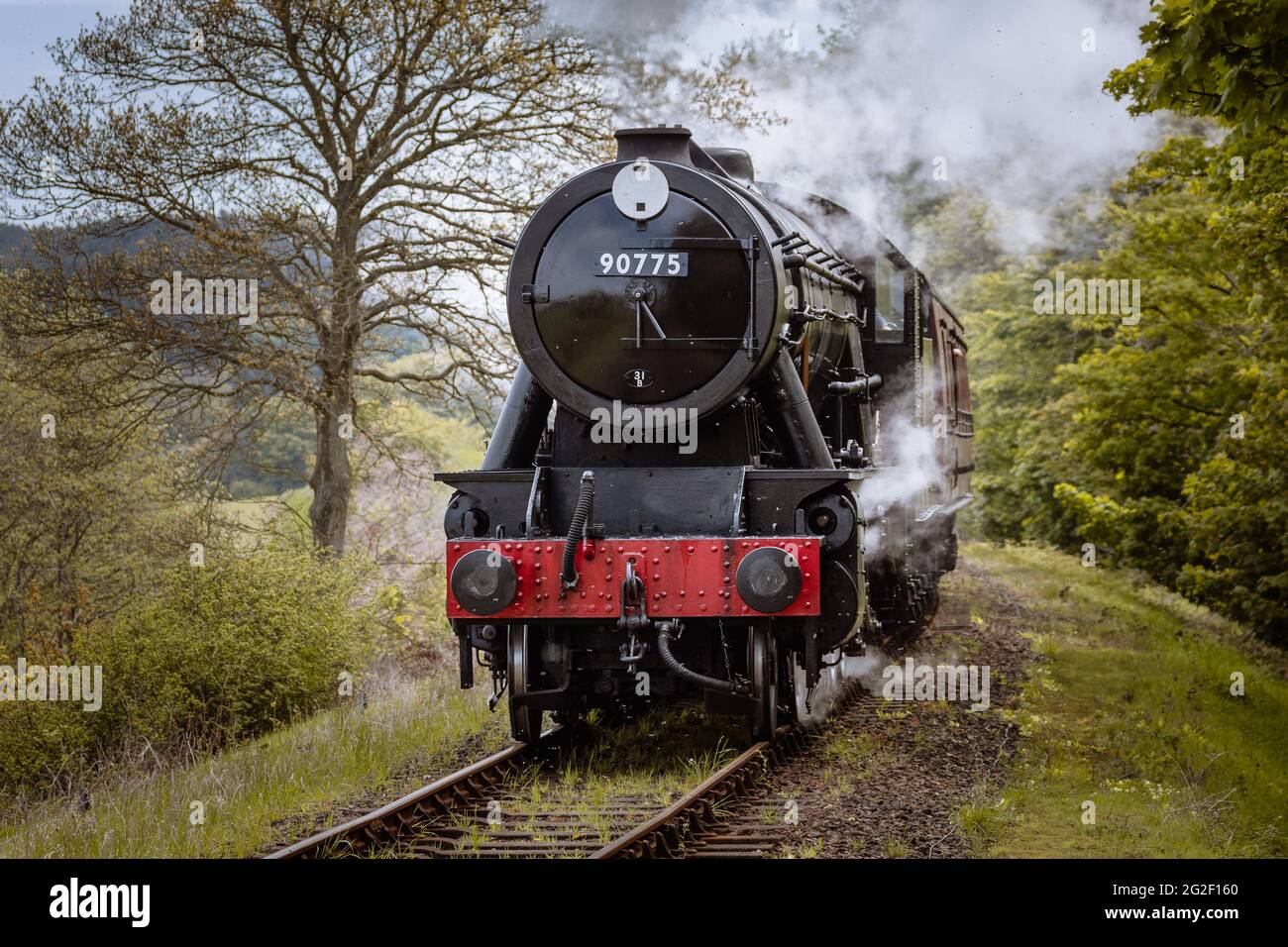 The poppy line classic steam train passing through forest trees Stock ...