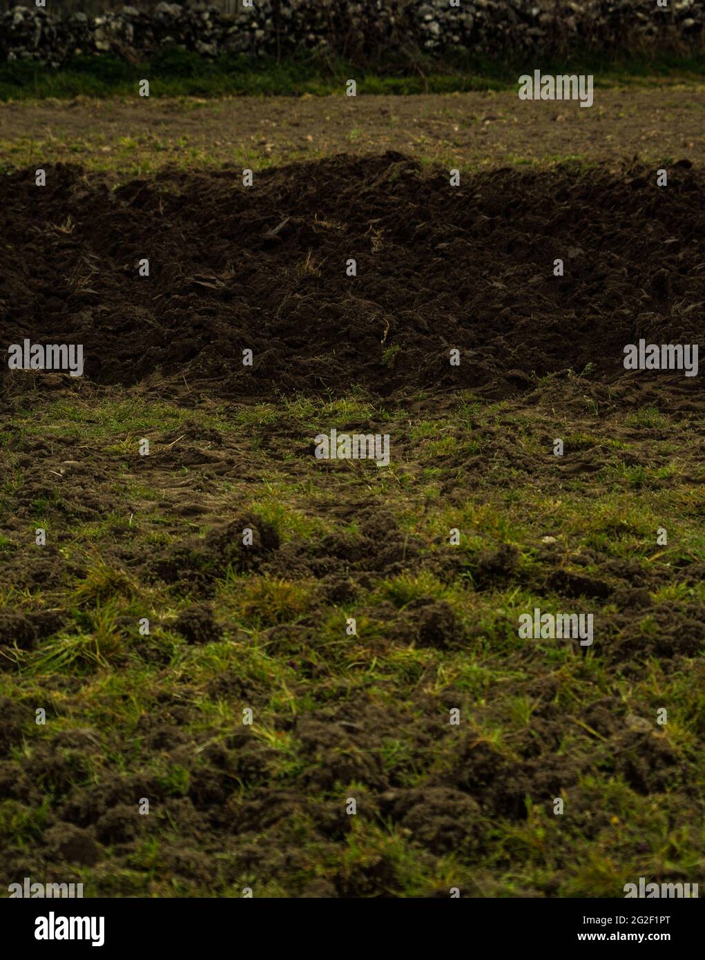 Cultivo de la mano hi-res stock photography and images - Alamy