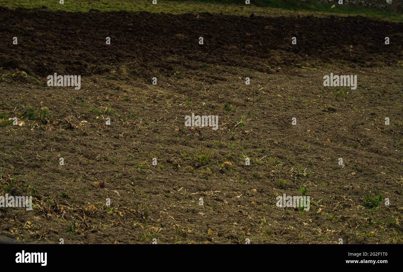 Cultivo de la mano hi-res stock photography and images - Alamy