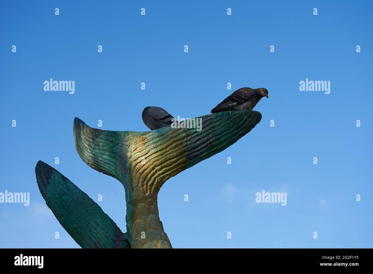 Low angle shot of doves on top of fish tail monument with clear sky in ...