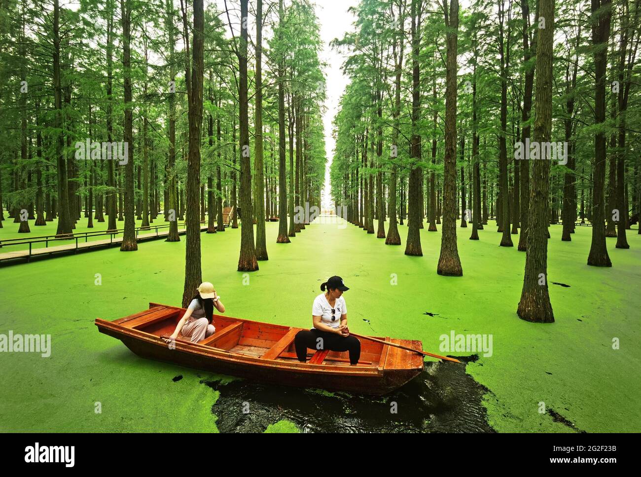 Yangzhou luyang lake wetland park hi-res stock photography and images ...