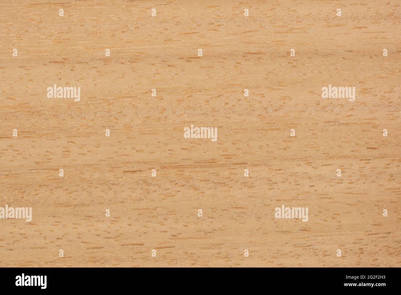 Iroko Tree High Resolution Stock Photography and Images - Alamy