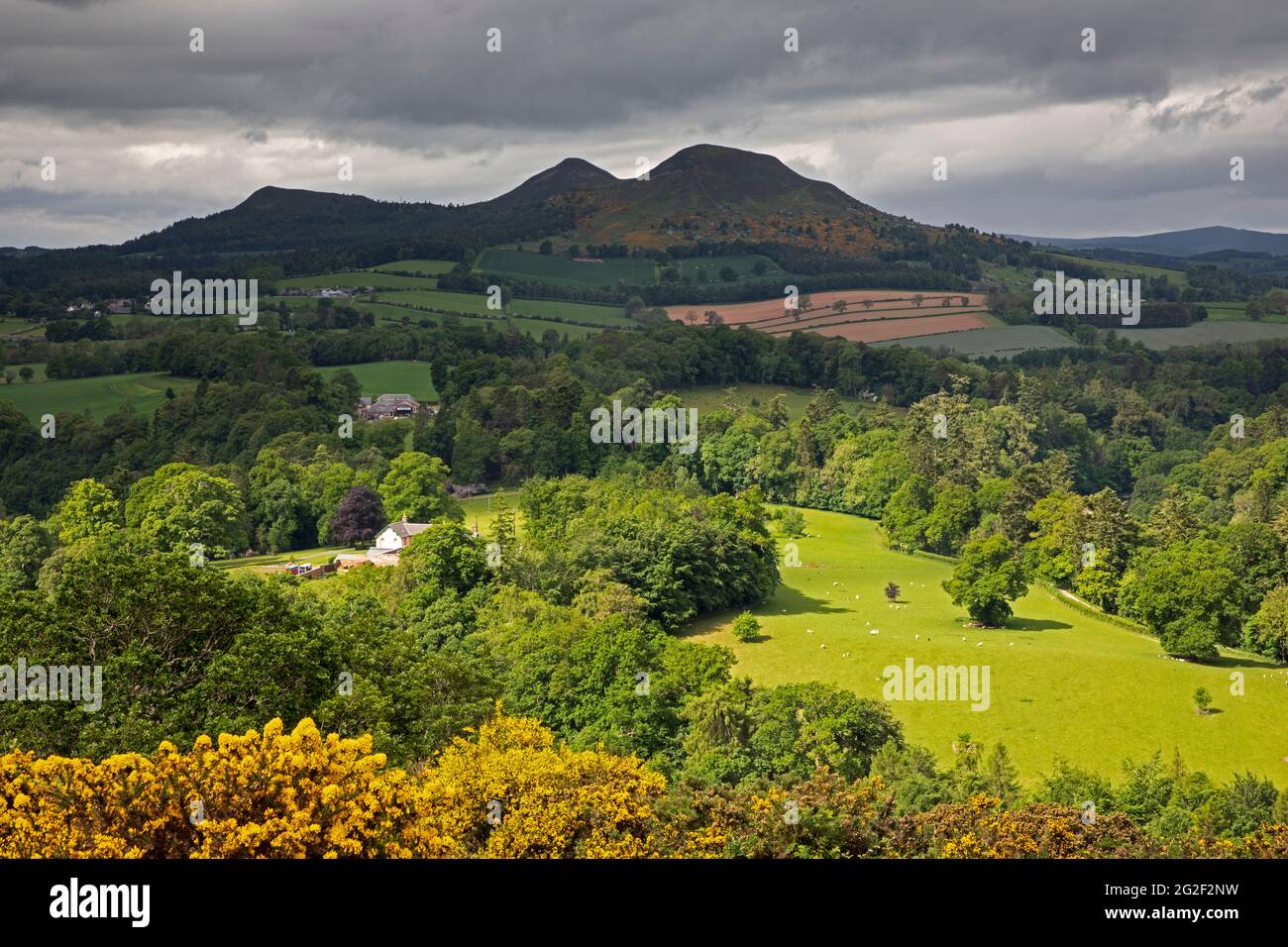 Melrose, Scottish Borders, Scotland, UK weather. 11th June 2021. Scott ...