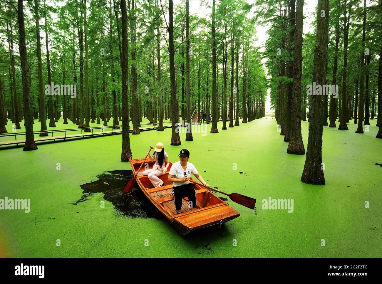 Yangzhou, Yangzhou, China. 11th June, 2021. On June 11, 2021, Yangzhou ...