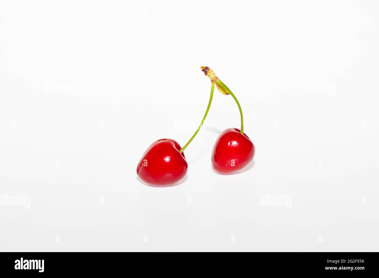 Two cherries joined by the stem isolated in the center on a white ...