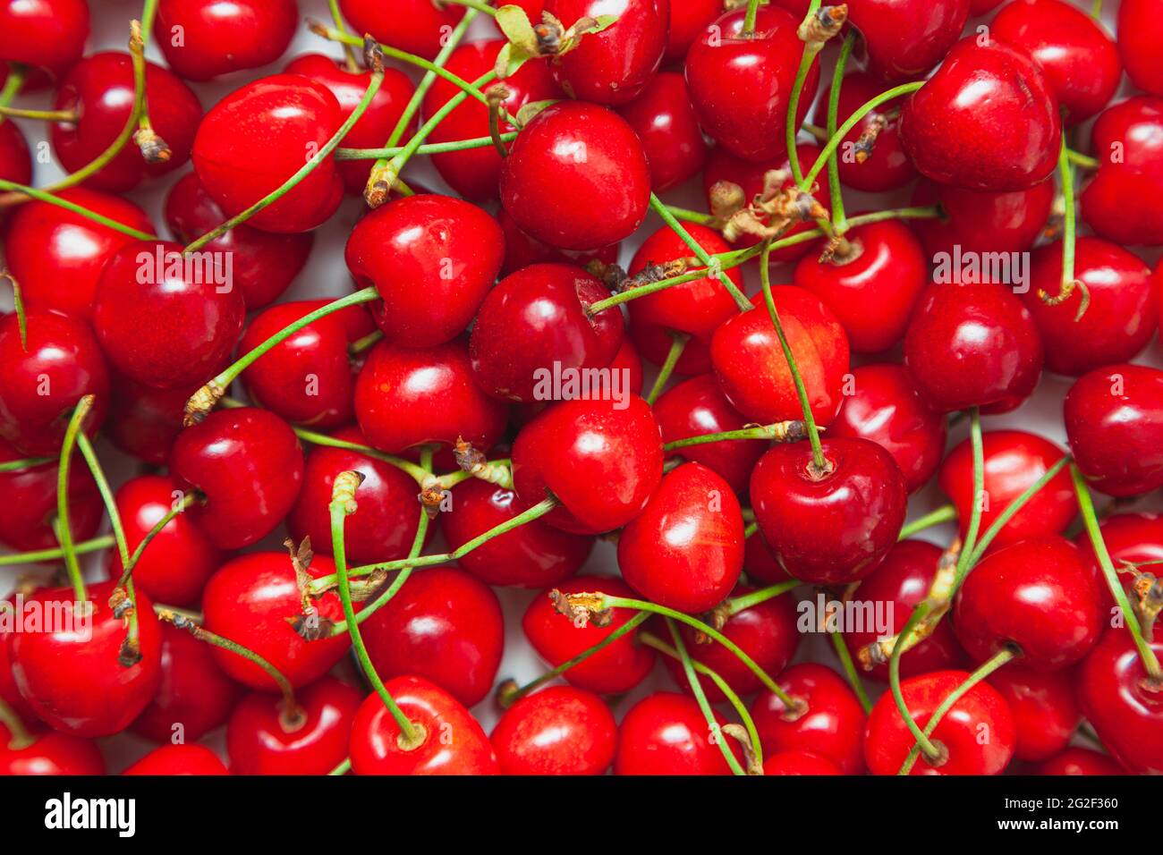 Background formed by many ripe red cherries with their stems piled on a ...