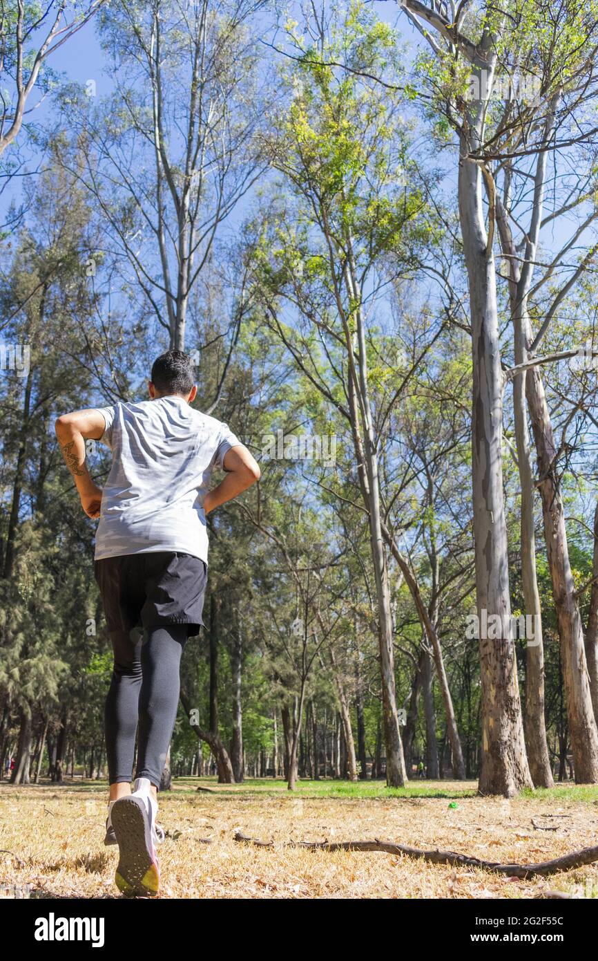 Man running in forest woods training and exercising for trail run ...