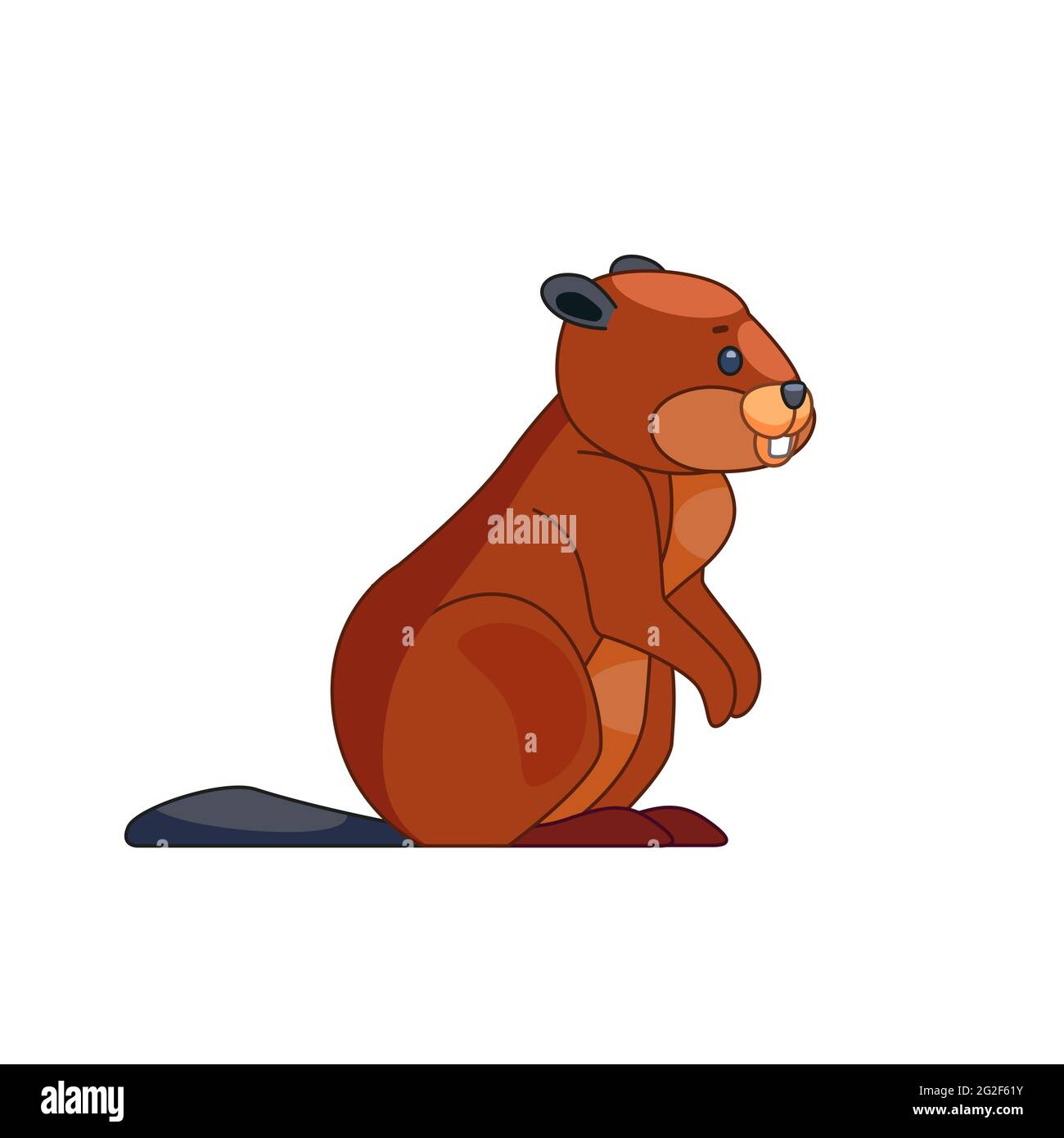 Side view beaver eating Stock Vector Images - Alamy