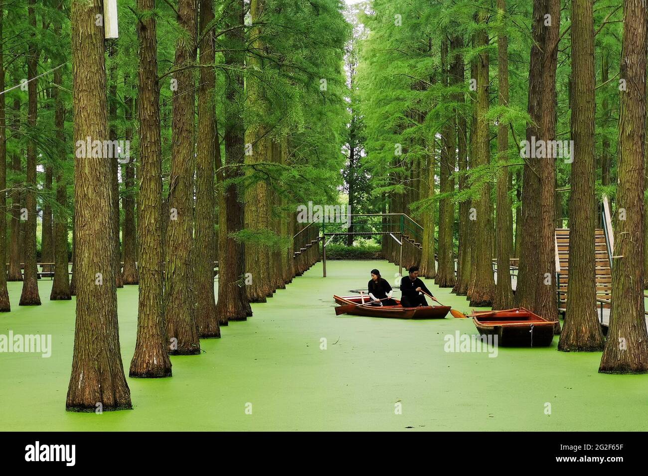 YANGZHOU, CHINA - JUNE 11, 2021 - Tourists visit the water forest of ...