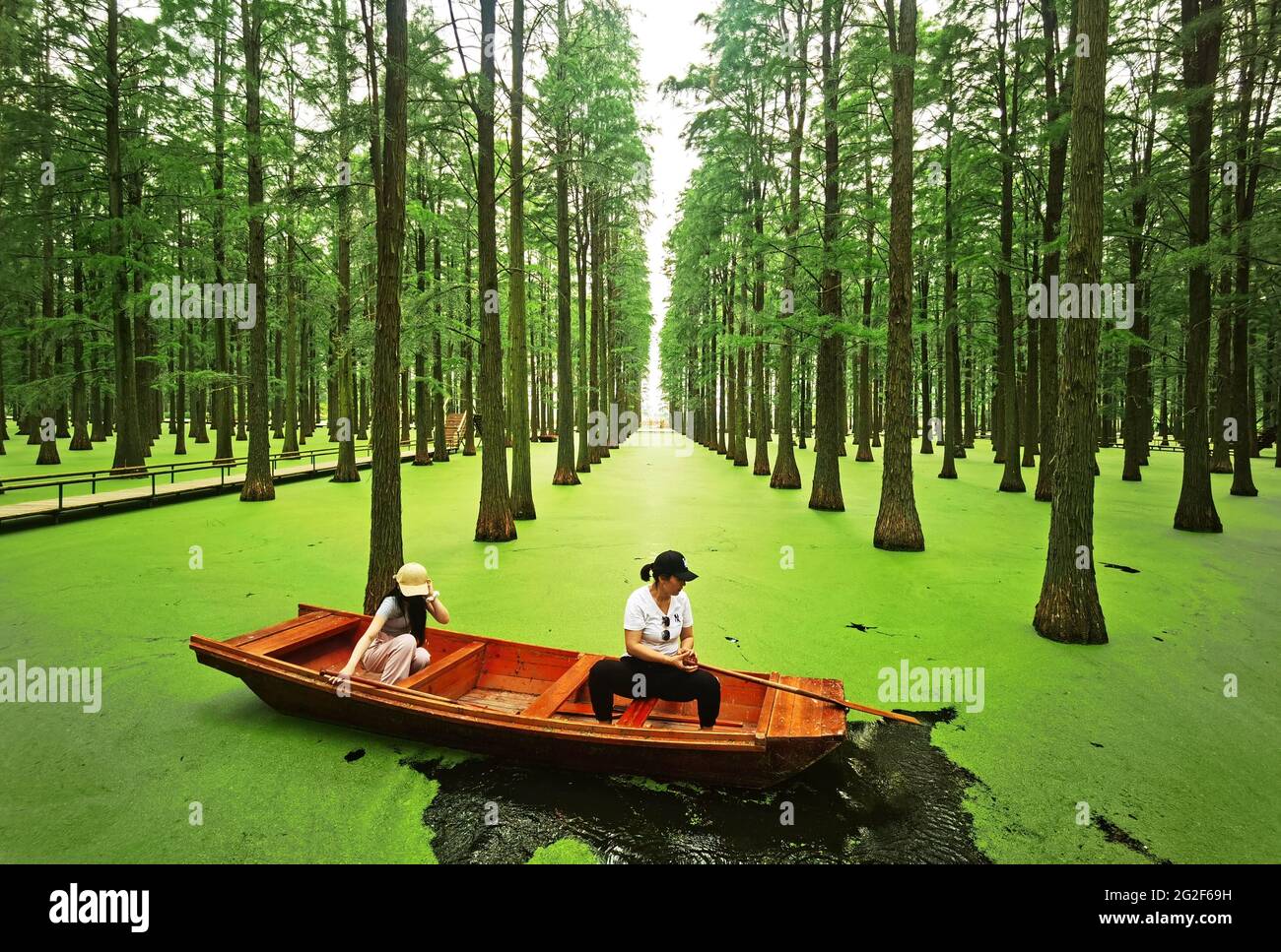 YANGZHOU, CHINA - JUNE 11, 2021 - Tourists visit the water forest of ...