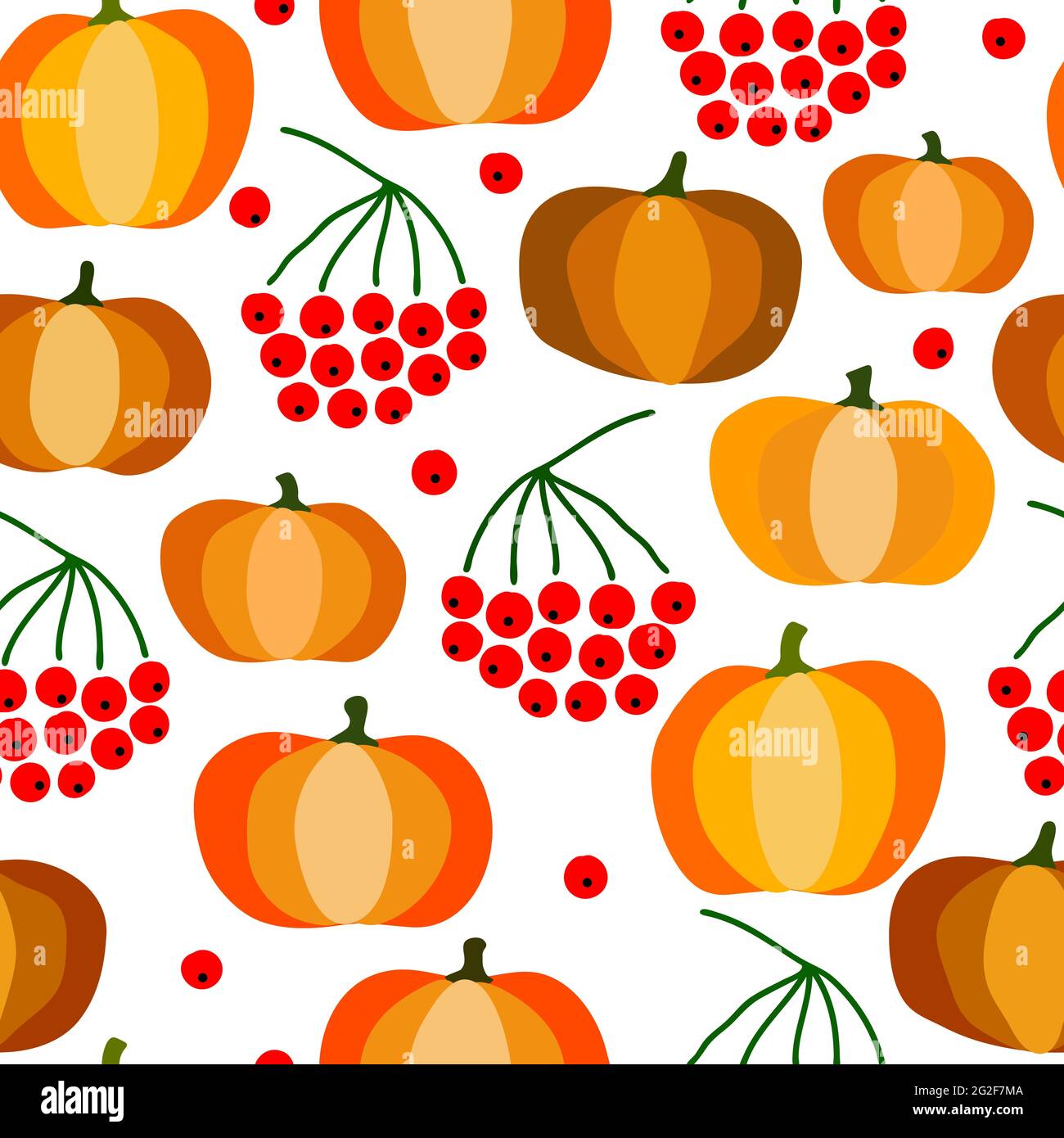 Autumn seamless pumpkin pattern. Pumpkins, cranberries, rowan isolated ...