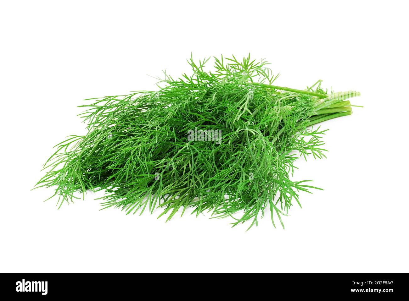 bunch of fresh dill isoalted on white background Stock Photo - Alamy