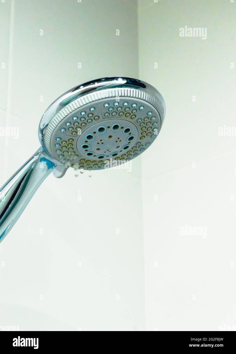 Shower head with water drops close up in the bathroom Stock Photo - Alamy