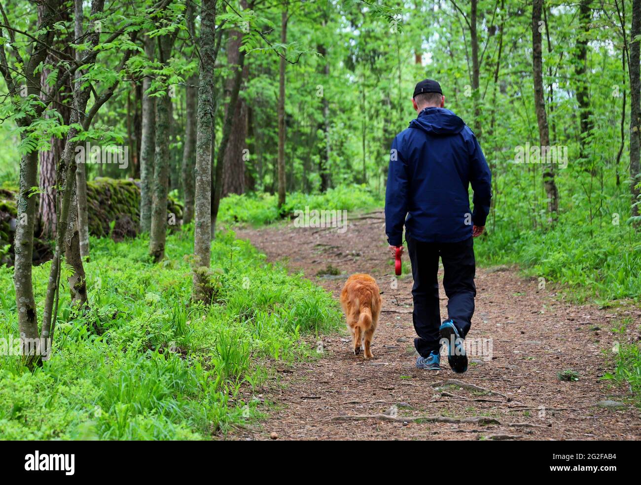 Guy walking a dog hi-res stock photography and images - Alamy