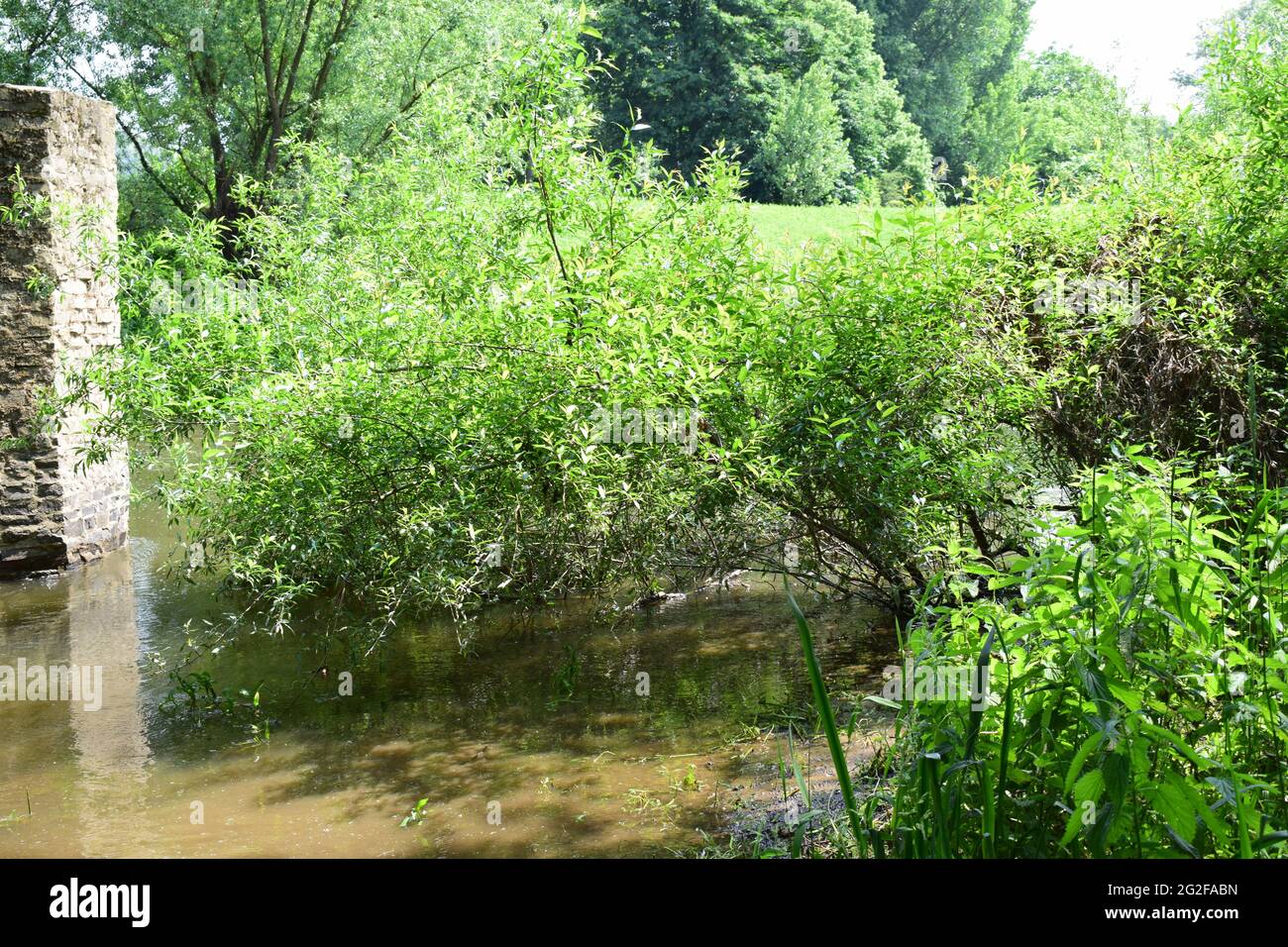 Ahr estuary hi-res stock photography and images - Alamy